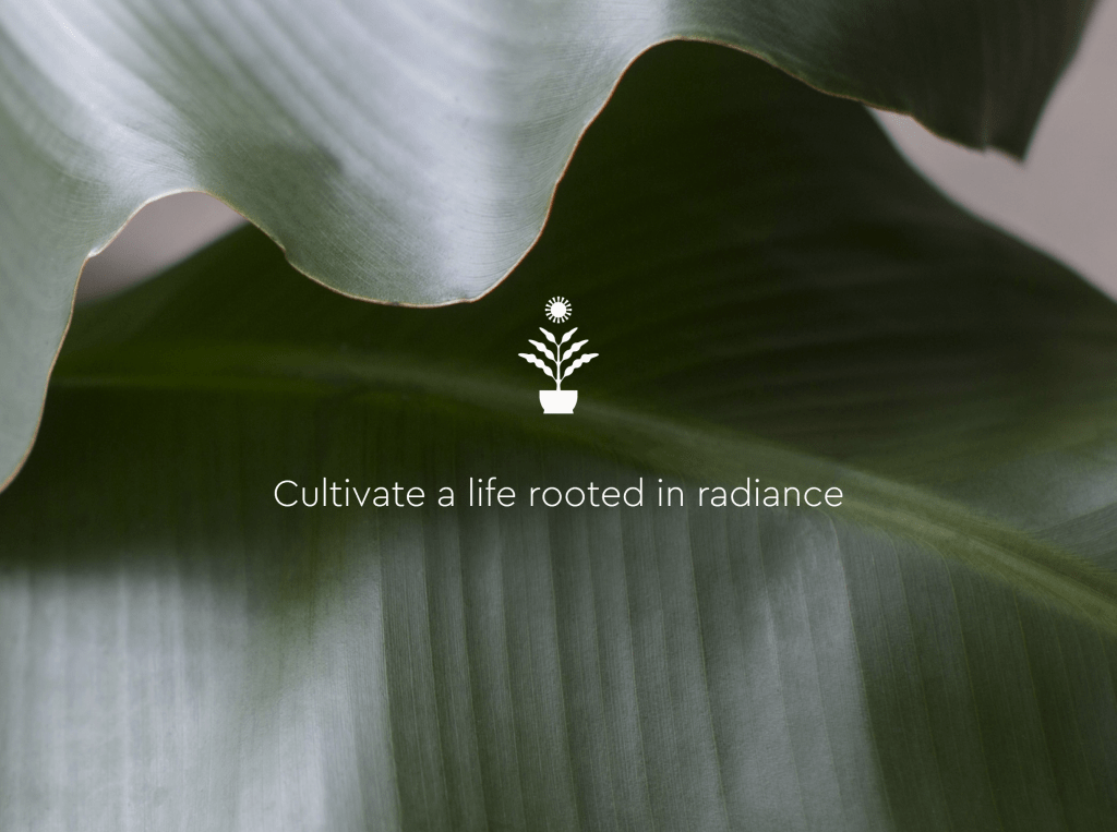 Home Page - The Sun Grove