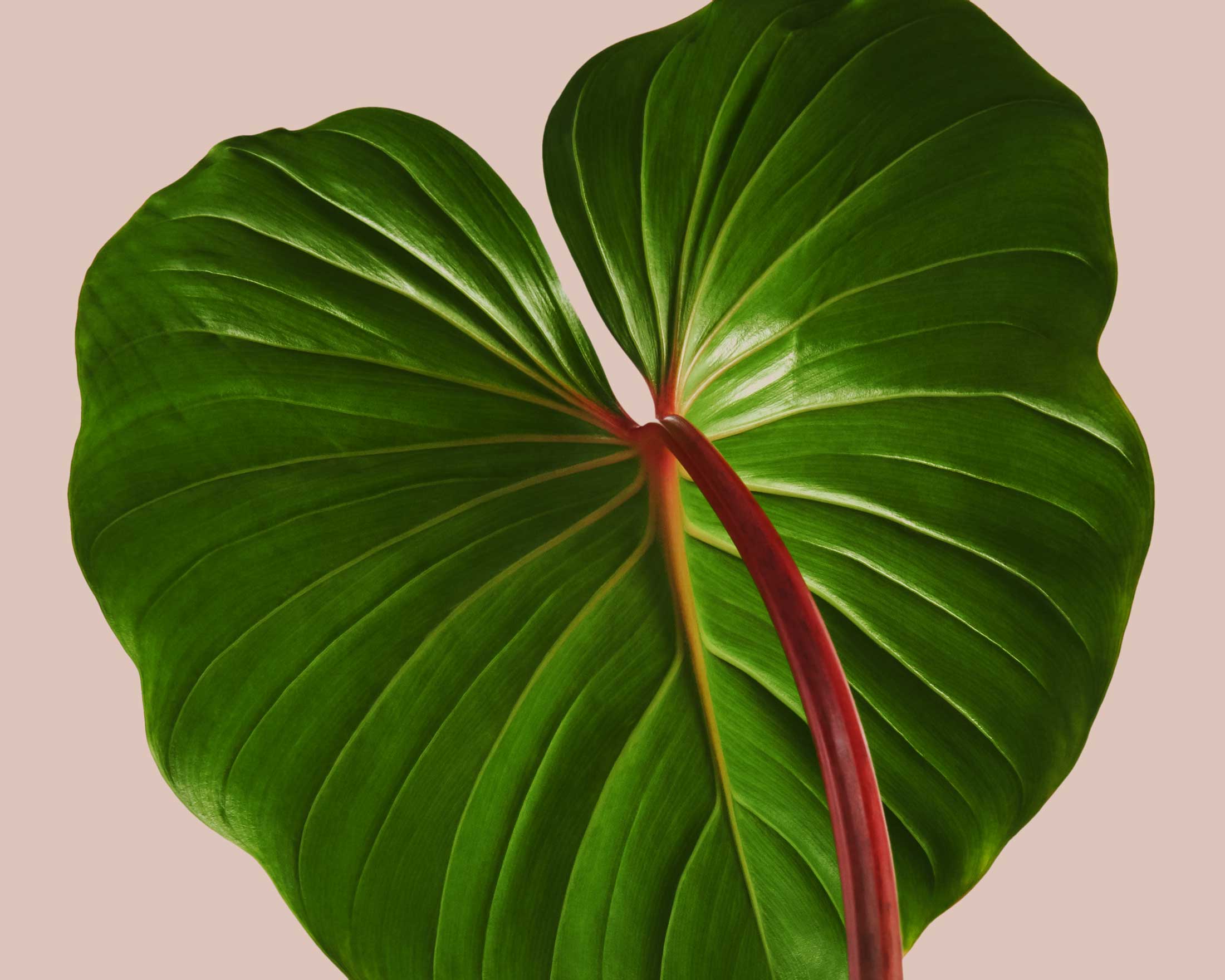 Reach Out To Us - The Sun Grove